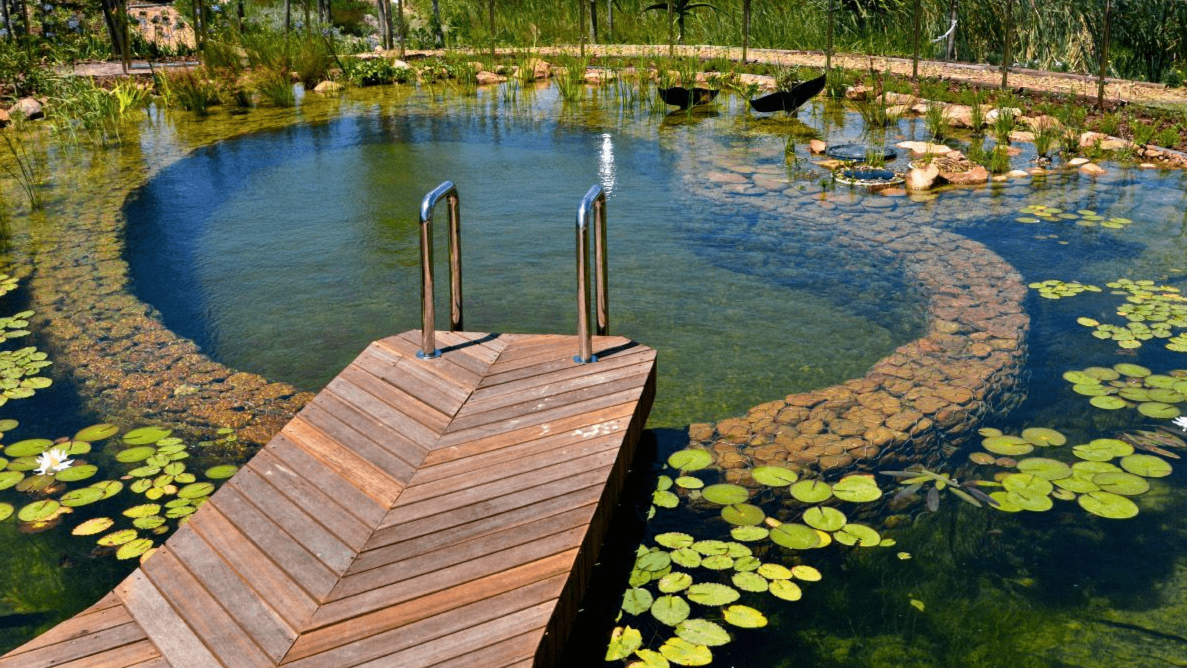 ¿Cómo funcionan las piscinas ecológicas?